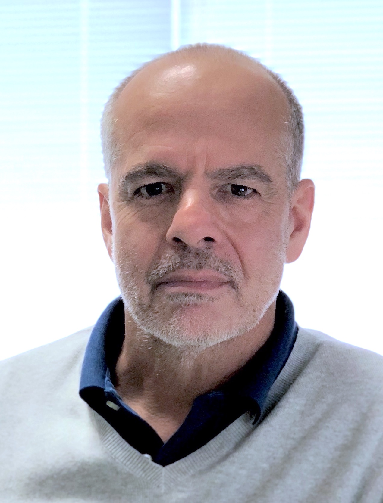 Carlos Ardavin - Macrophage and Dendritic Cell Immunobiology Laboratory ...