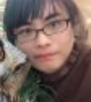 Zhun Sun - Baidu Inc. | 人才画像 - AMiner