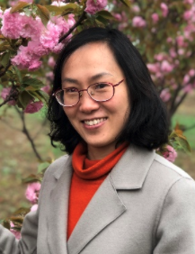 Xiaoli Yang - School of Civil Engineering, Southeast University | 人才画像 ...