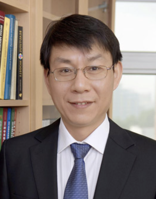 Yupeng Wang - Institute of Physics, Chinese Academy of Sciences | 人才画像 - AMiner